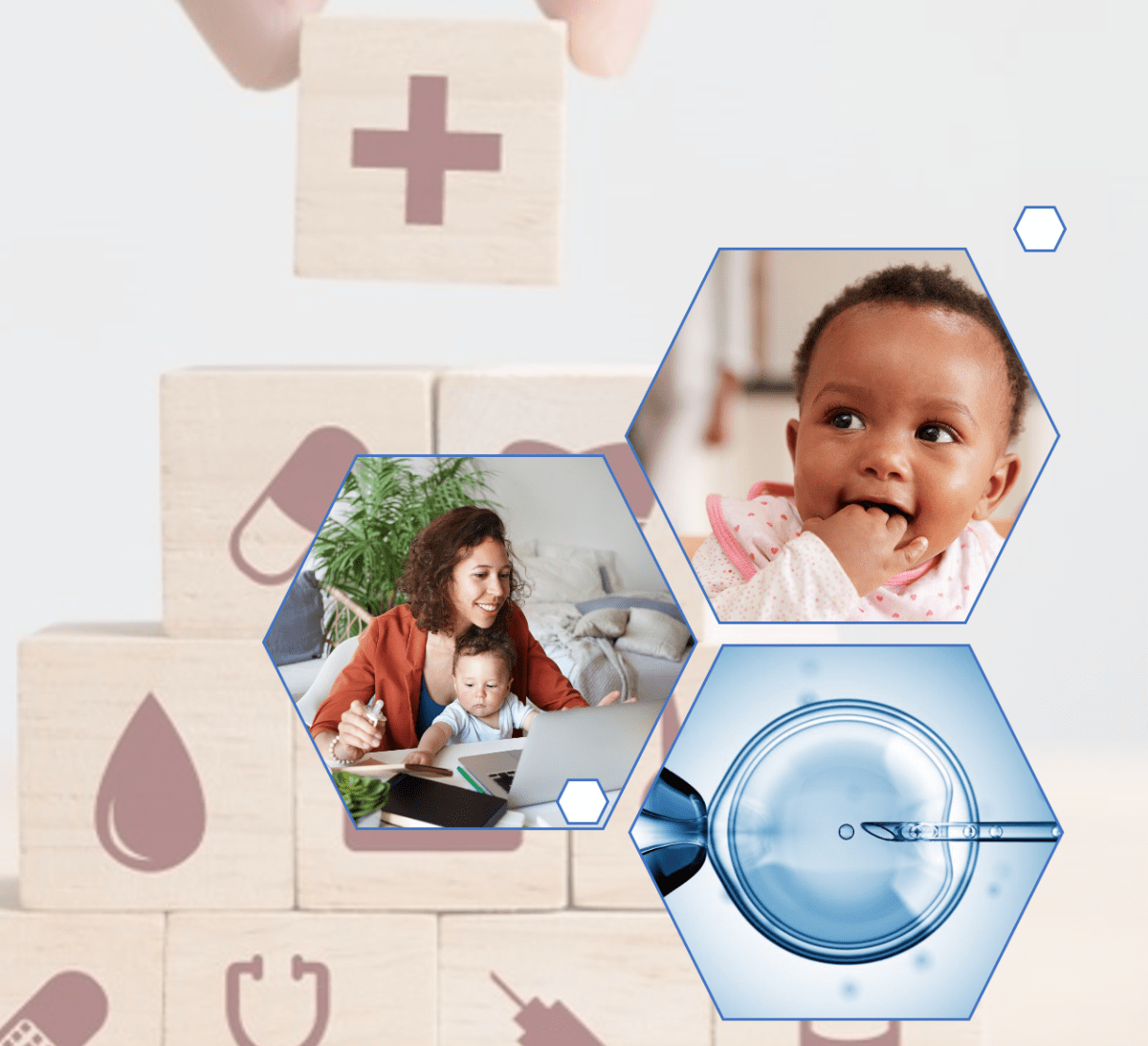 The Fertility Savings Plan (FSP) – Haley Forest